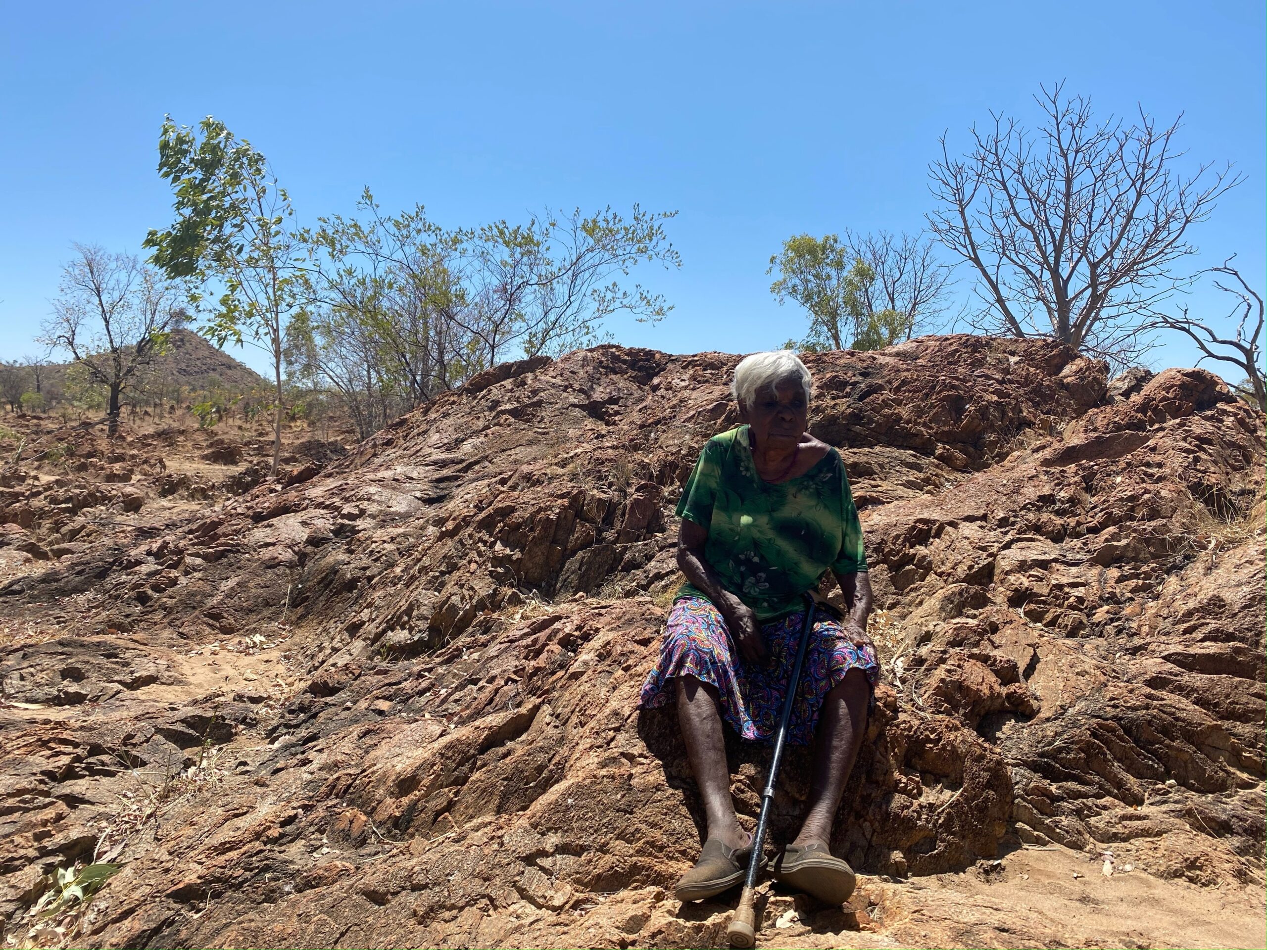 MCA Australia and Tate announce new joint acquisitions - Wesfarmers Art